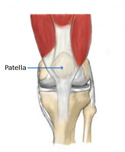 Knee Cap Pain – Chondromalacia Patella – Athlete for Life!