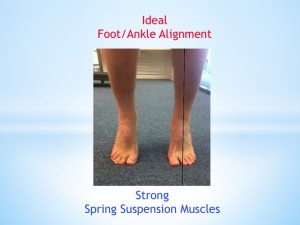 Video Tutorial #200 Video Tutorial #200 Can You Pass The Foot Ankle Toe ...